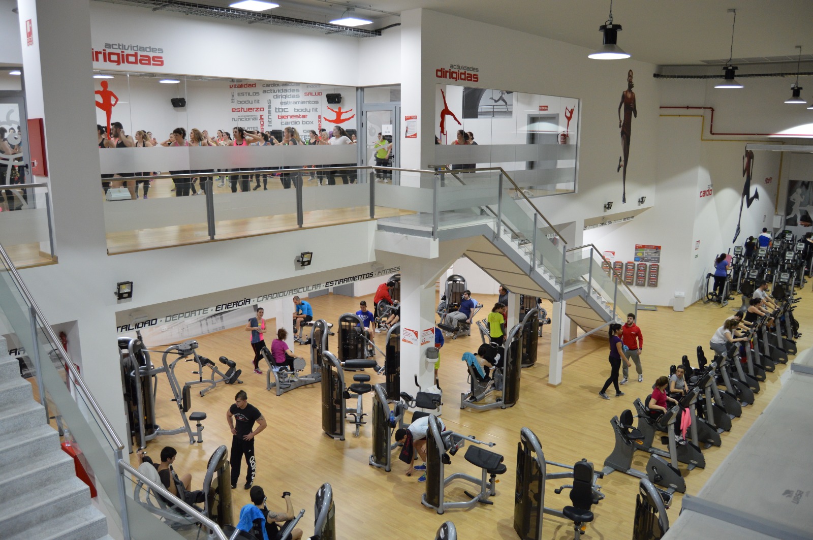 Altafit Gym: El gimnasio líder que se adapta a tus necesidades