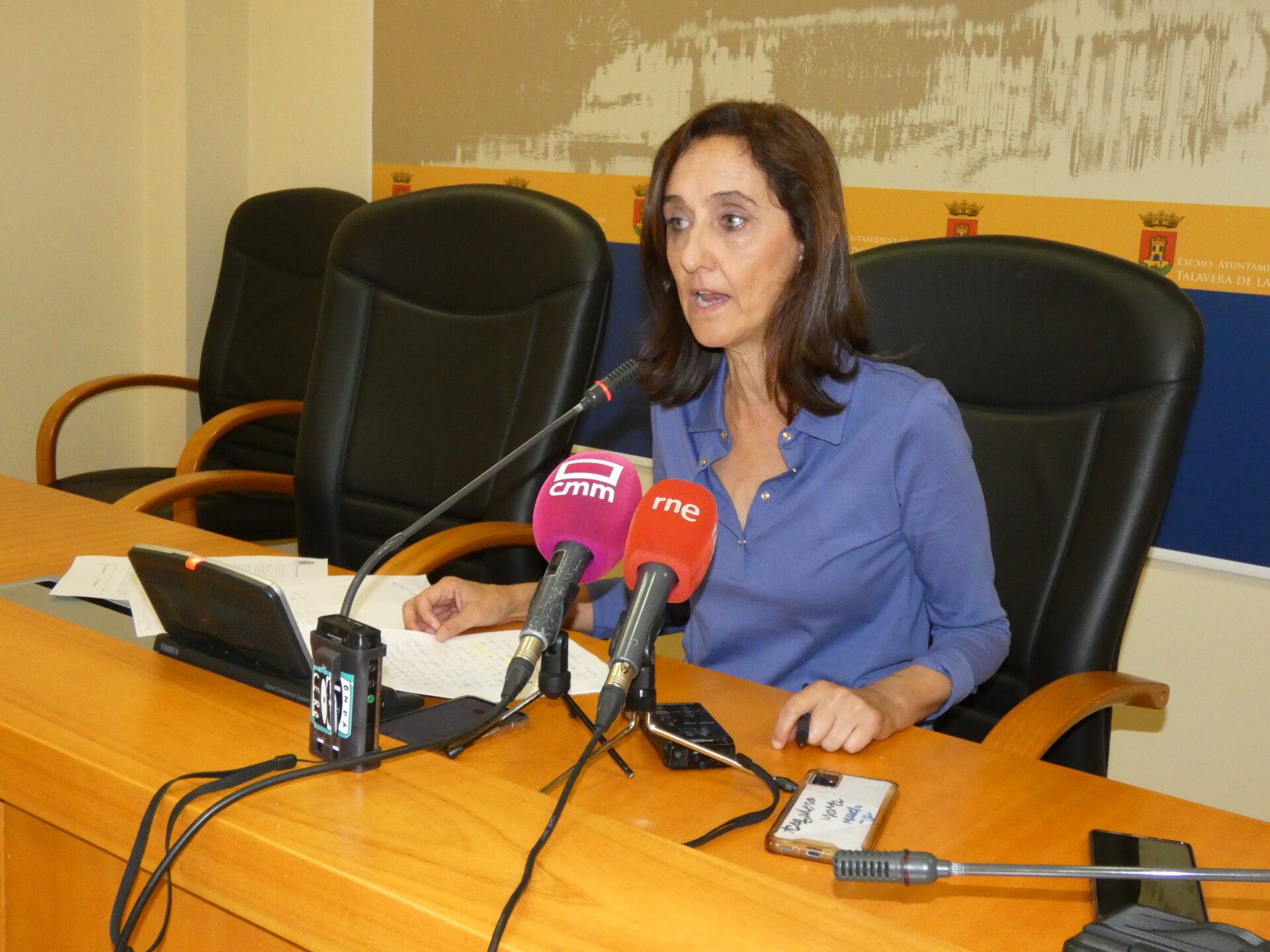 Reforma y mejora de los caminos - Cover Talavera