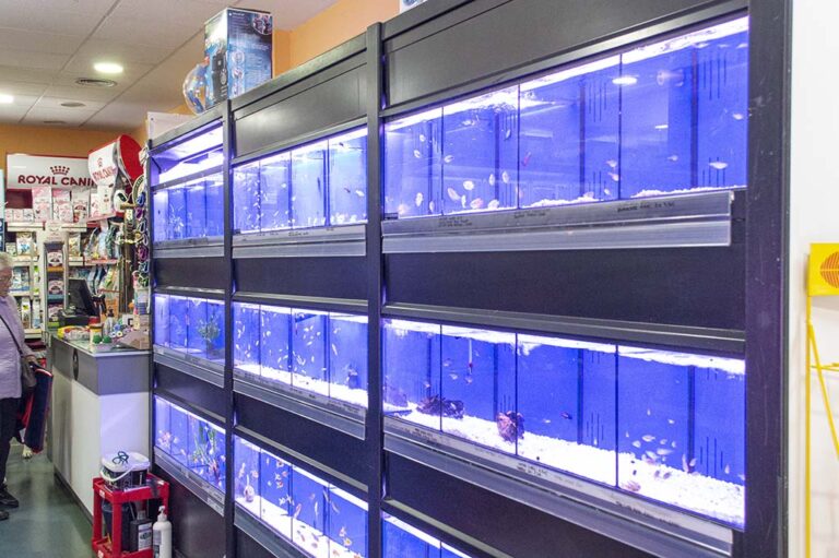 Tienda de animales Ana, el paraíso para tus mascotas