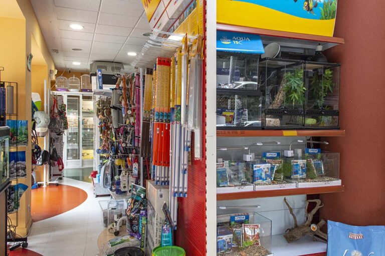 Tienda de animales Ana, el paraíso para tus mascotas